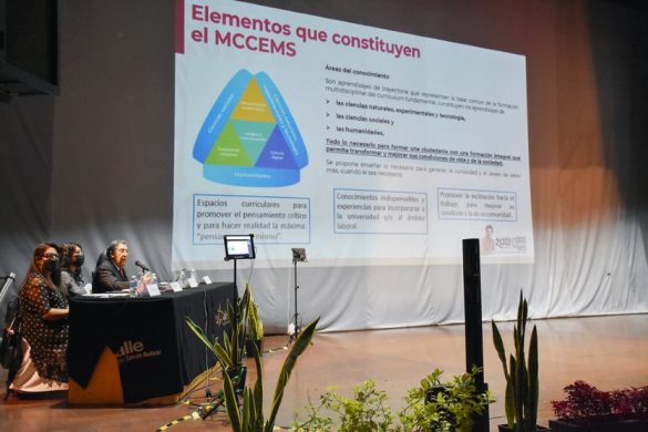 Nuevo marco curricular para Educación Media Superior deberá ser ...